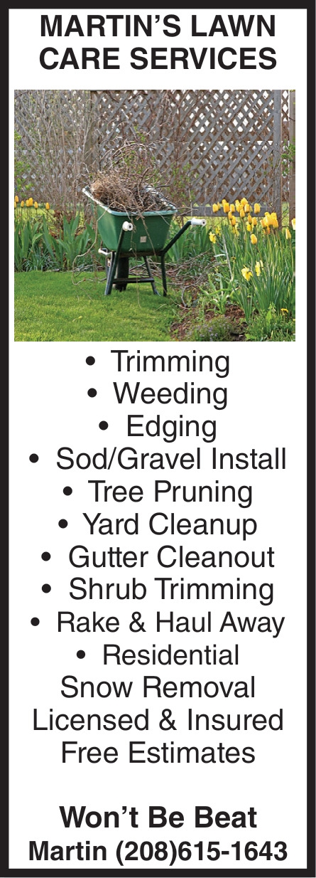 Trimming, Martin's Lawn Care Services